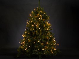 ATRIA LED - voor bomen tot 1.8 m - 220 leds - arizona wit - groene ...